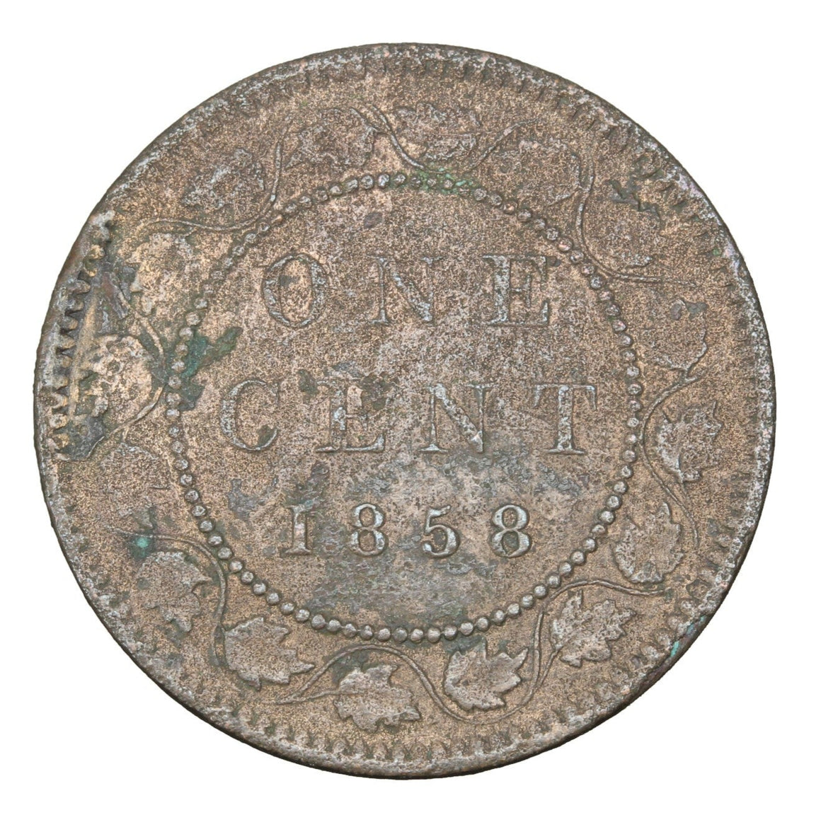 MK Coins - Professional Coin Store, Buying - Selling - Trading