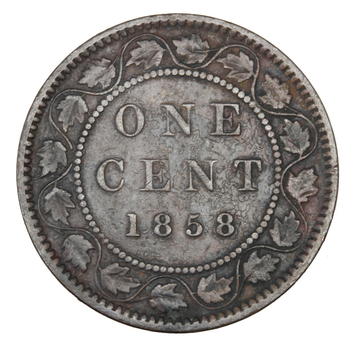 MK Coins - Professional Coin Store, Buying - Selling - Trading